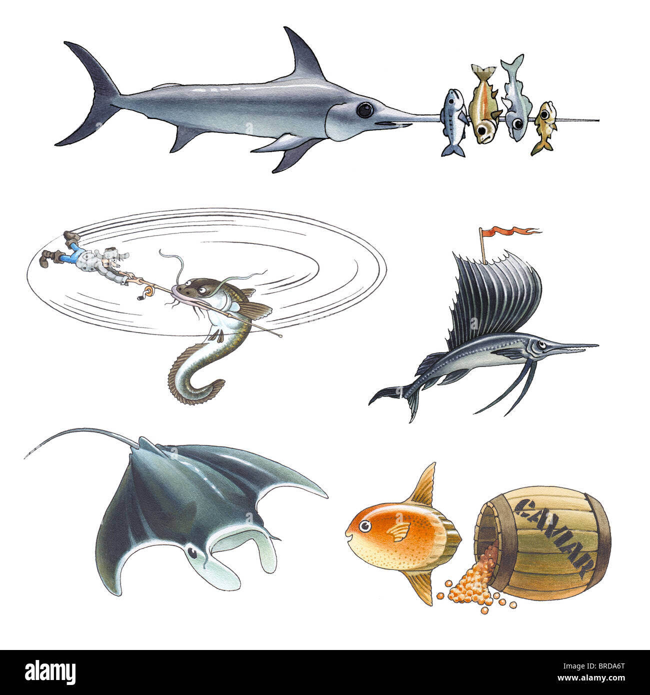 Evil Cartoon Swordfish