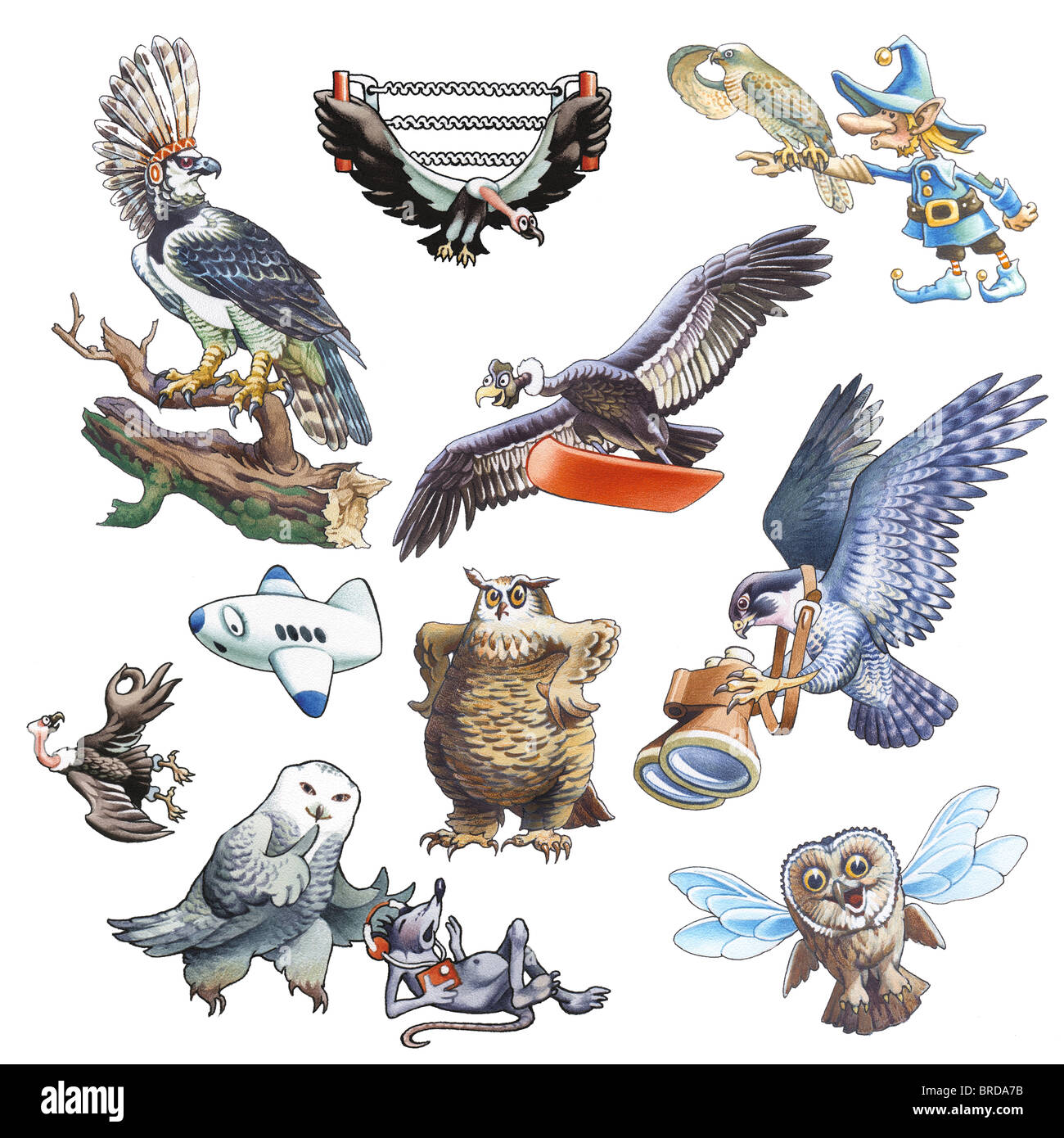 Birds prey eagle hawk Cut Out Stock Images & Pictures - Alamy