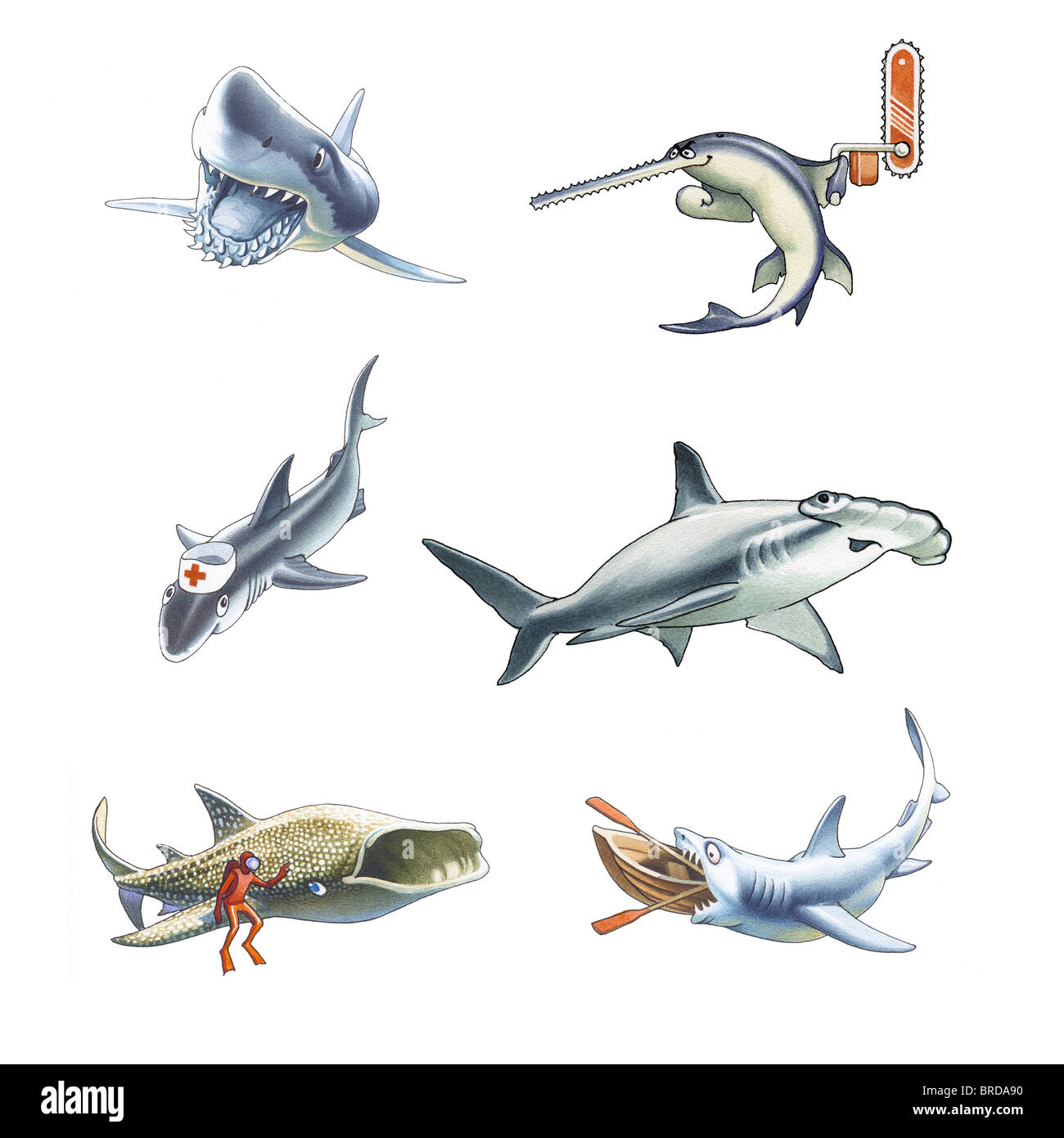 Sawshark hi-res stock photography and images - Alamy