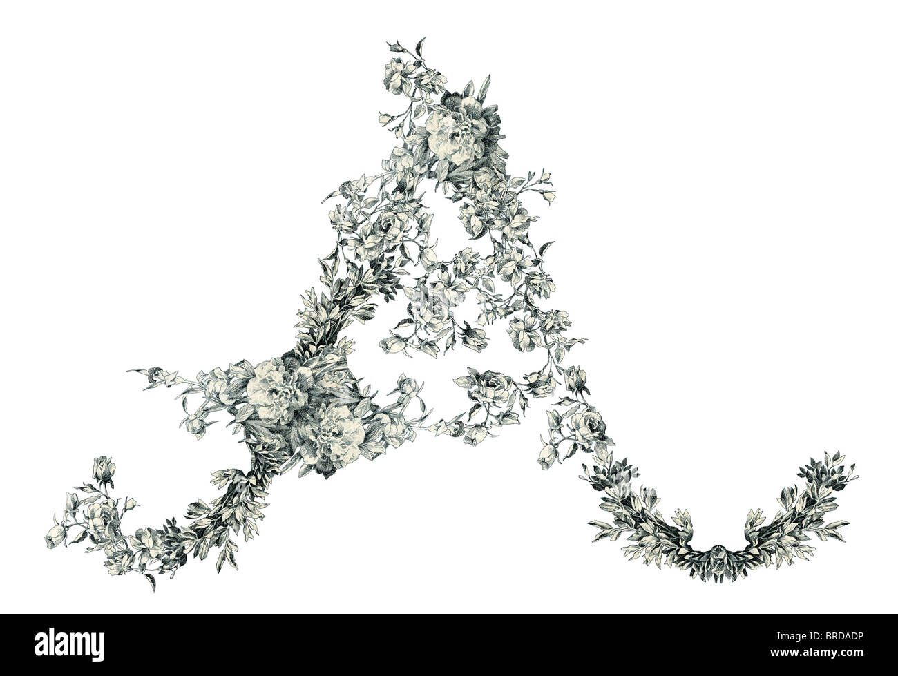 Luxuriously illustrated old capital letter A Stock Photo - Alamy