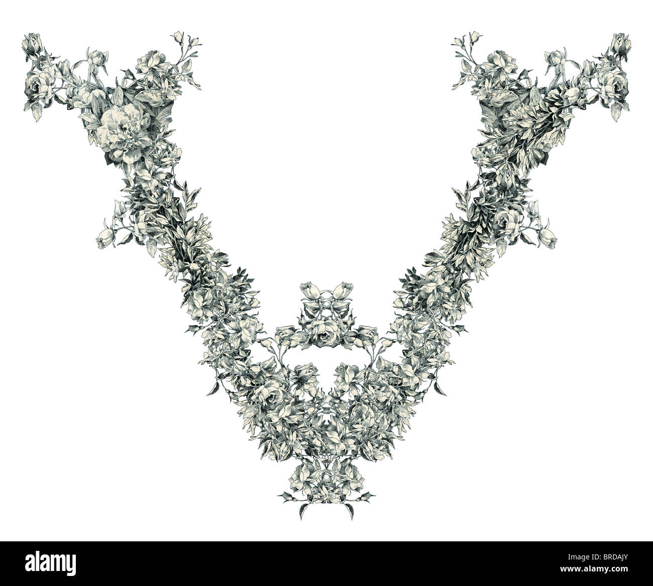 Luxuriously illustrated old capital letter V Stock Photo - Alamy