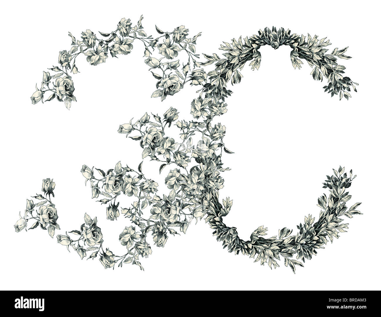 Luxuriously illustrated old capital letter X Stock Photo - Alamy