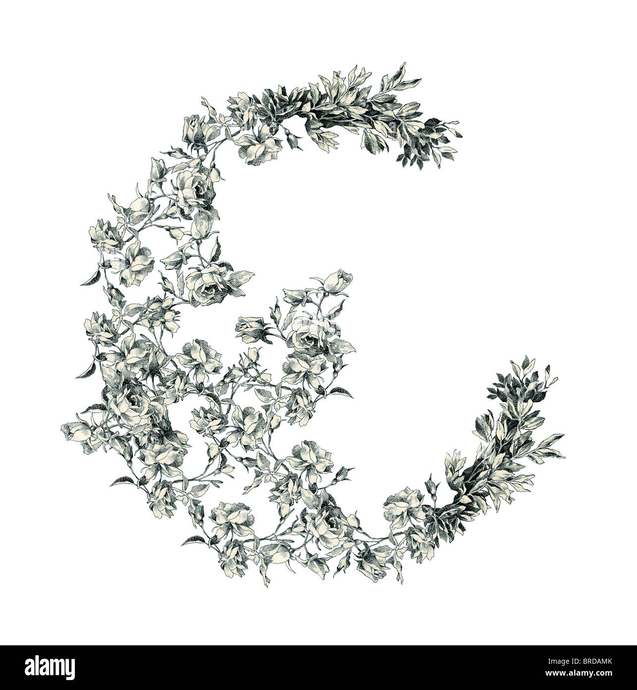 Luxuriously illustrated old capital letter C Stock Photo - Alamy