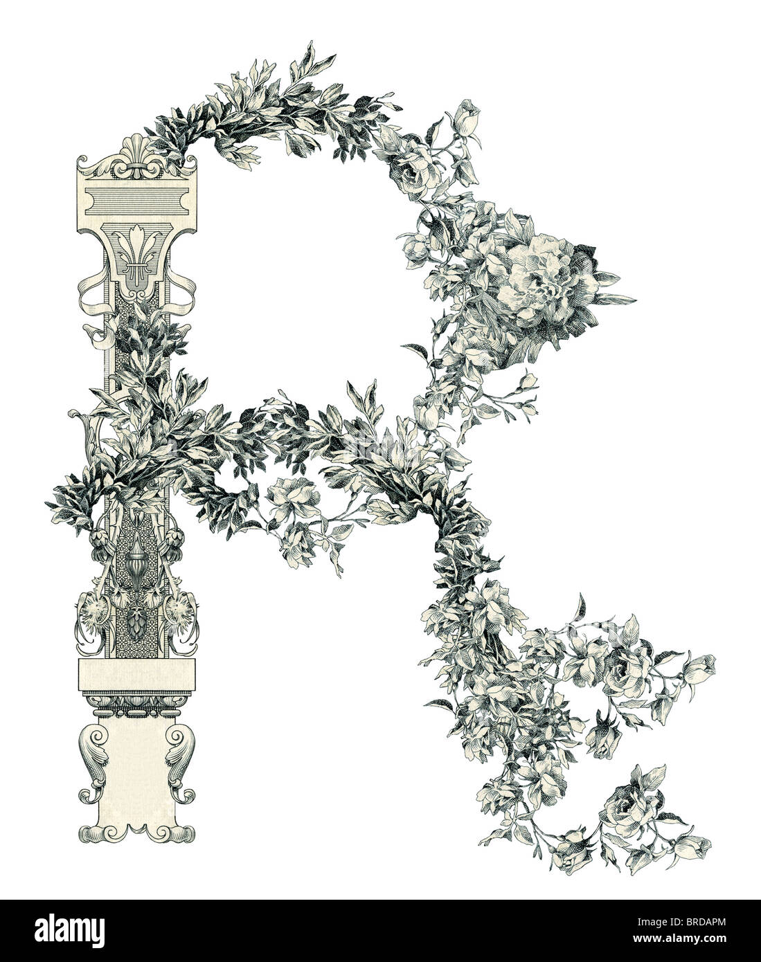 Luxuriously illustrated old capital letter R Stock Photo - Alamy