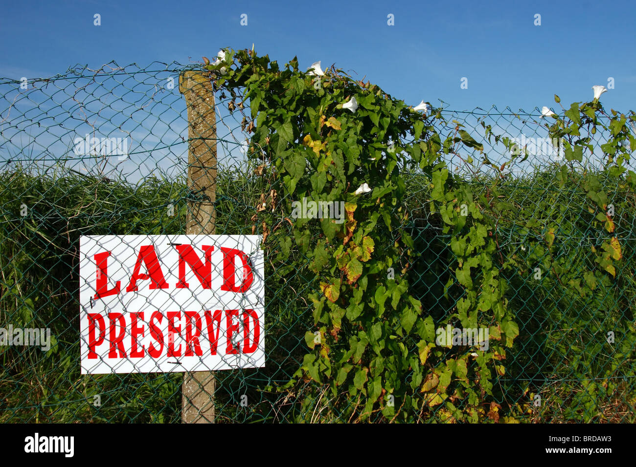 a land preserved sign on the ballybunion golf course ireland Stock ...
