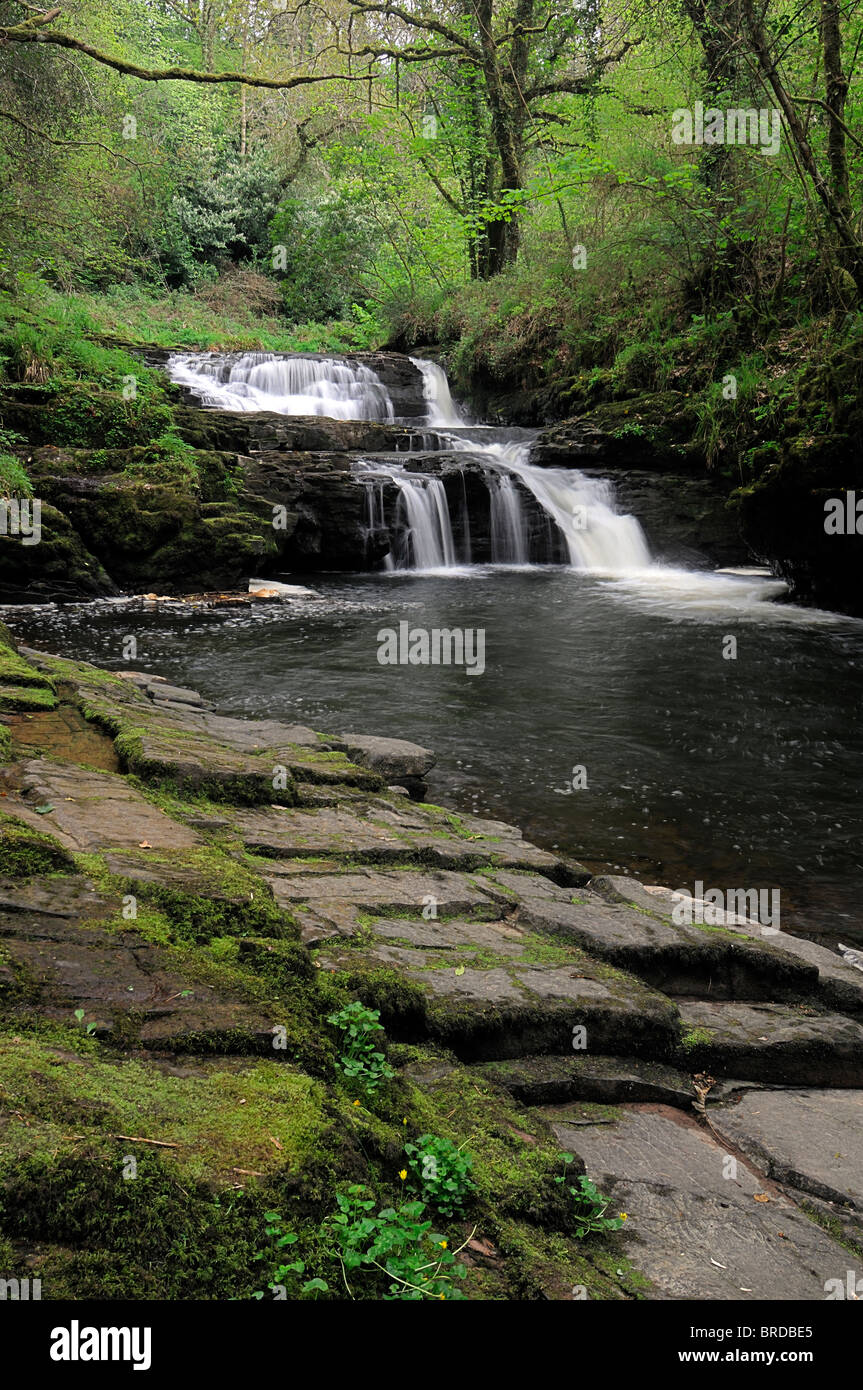 waterfall scene scenic along the Clare river which flows through the ...