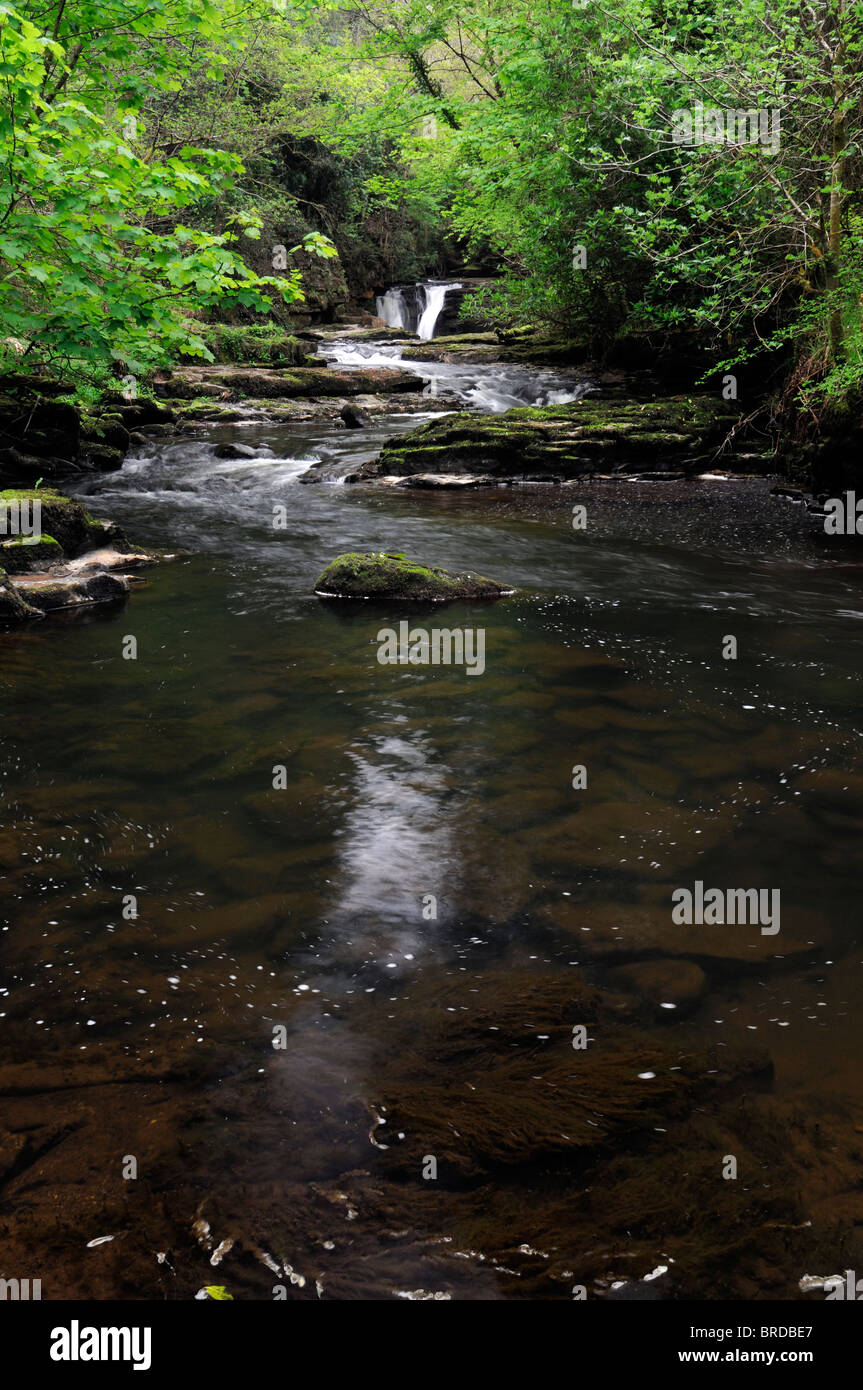 waterfall scene scenic along the Clare river which flows through the ...