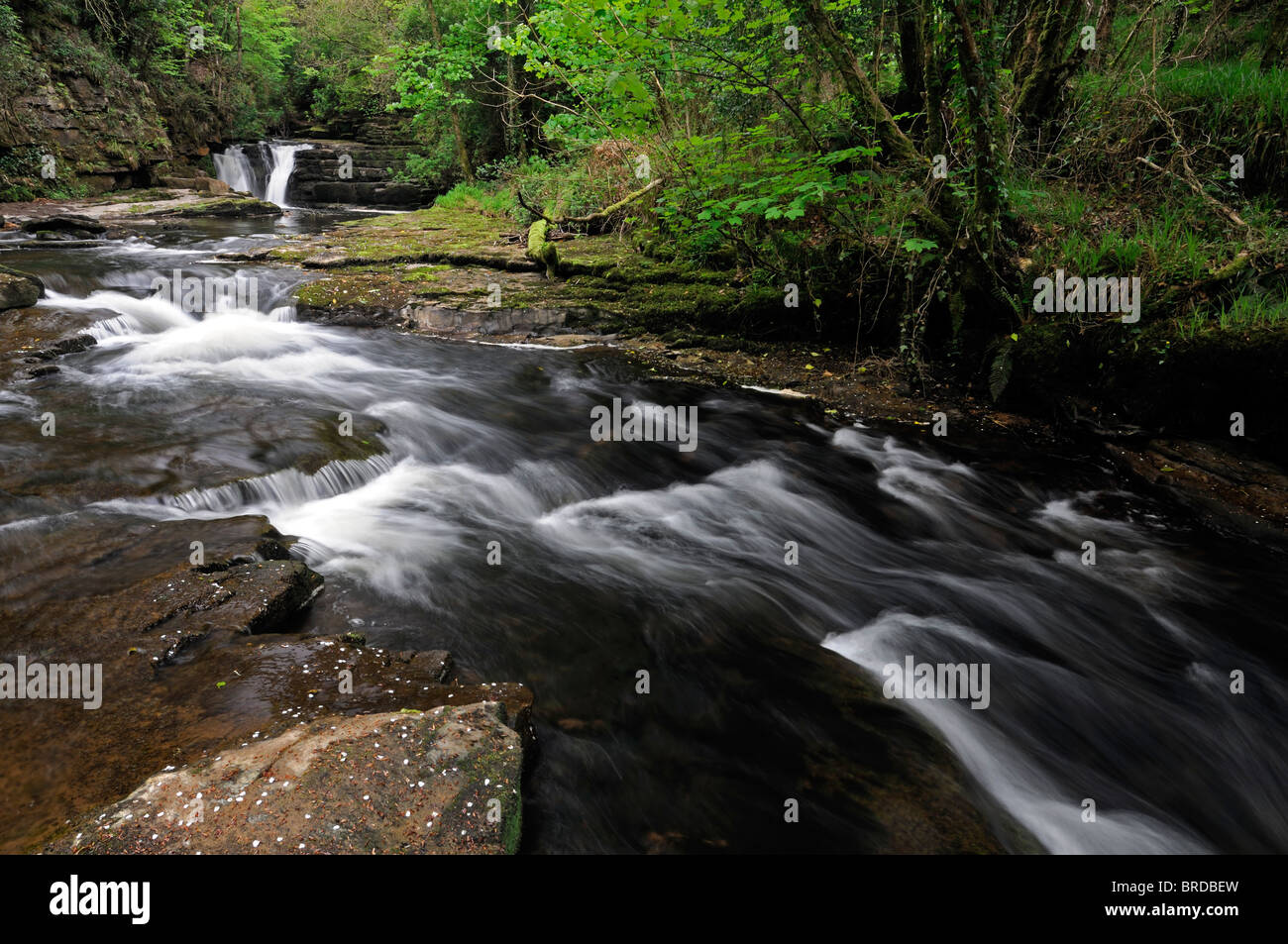 waterfall scene scenic along the Clare river which flows through the ...