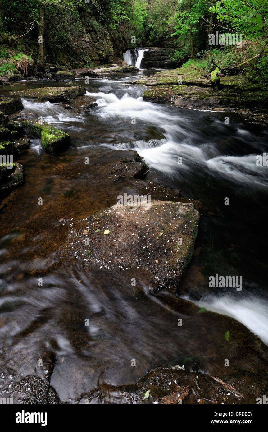 waterfall scene scenic along the Clare river which flows through the ...
