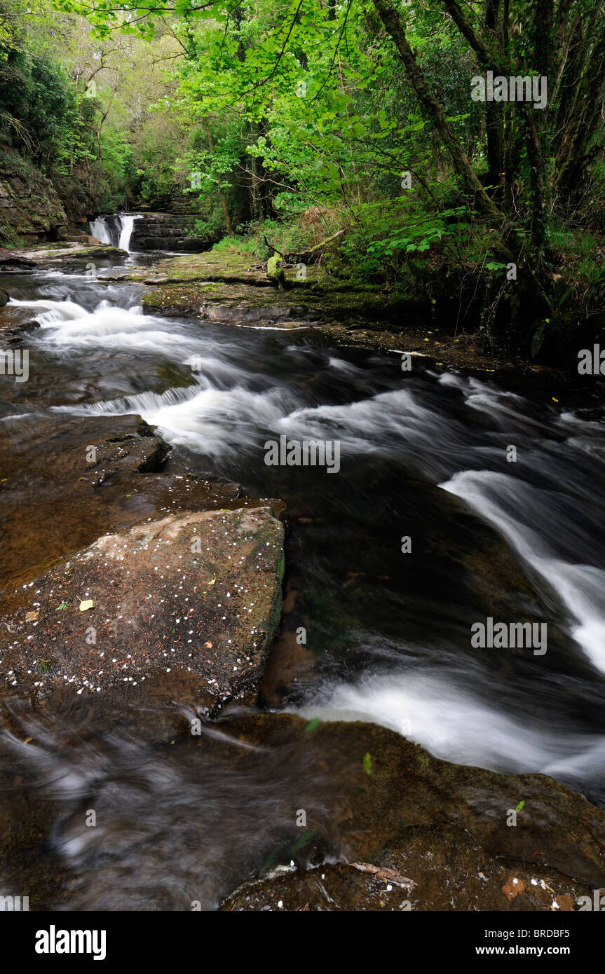 waterfall scene scenic along the Clare river which flows through the ...
