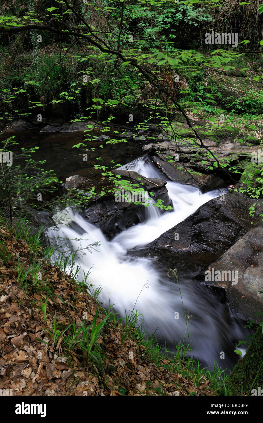 waterfall scene scenic along the Clare river which flows through the ...