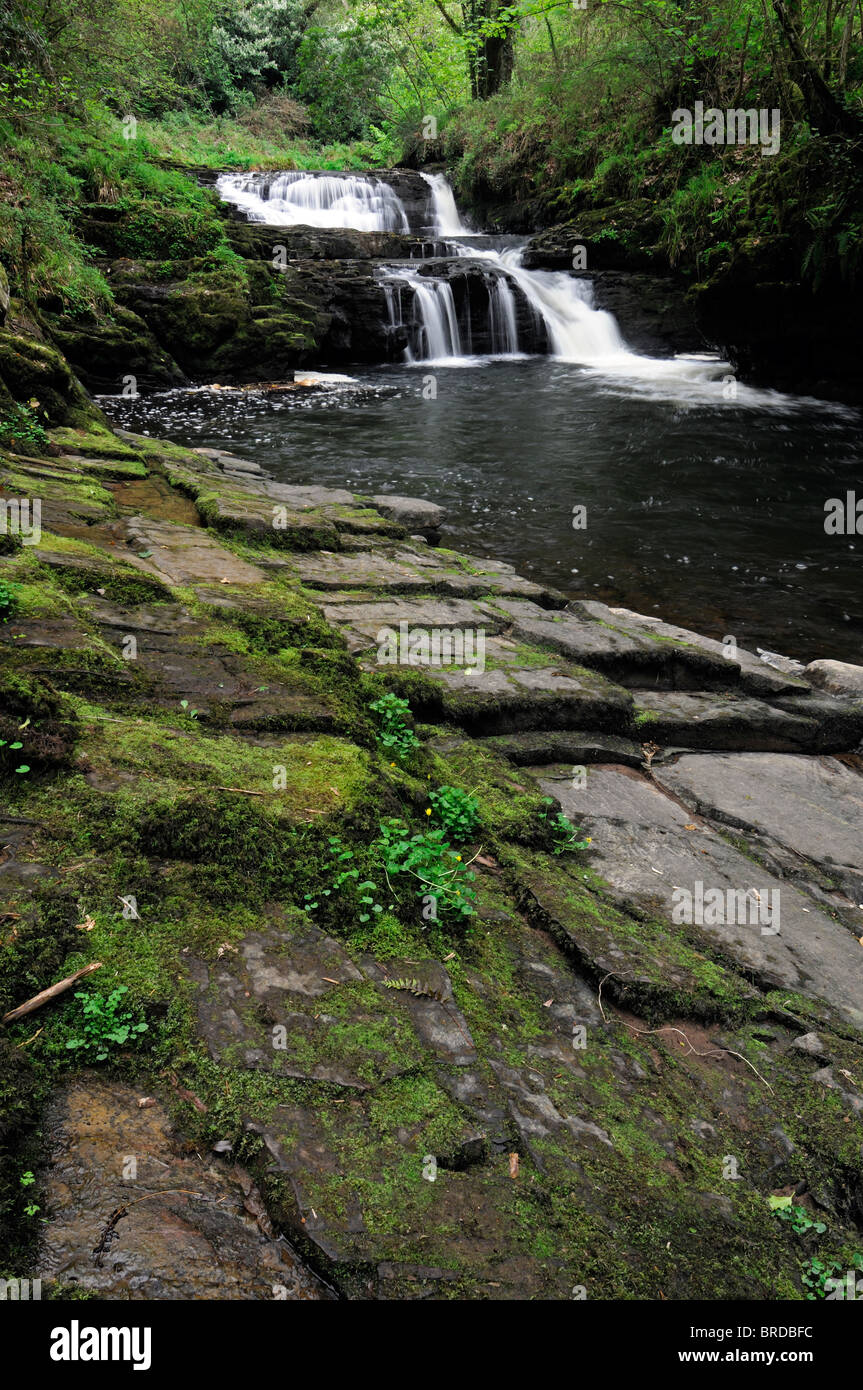 waterfall scene scenic along the Clare river which flows through the ...