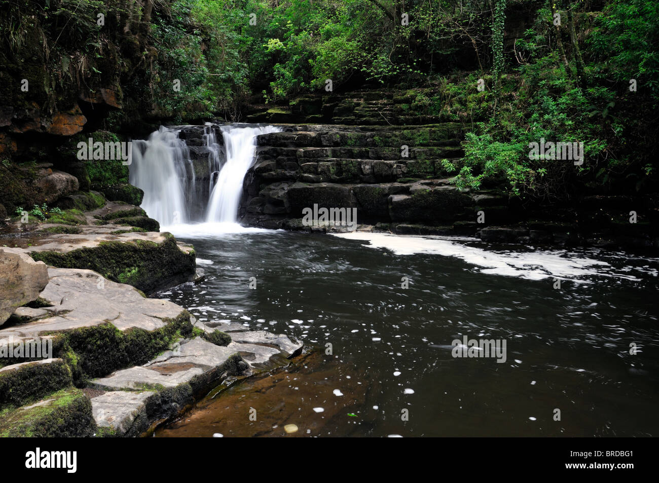 waterfall scene scenic along the Clare river which flows through the ...