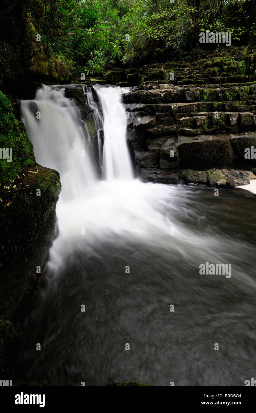waterfall scene scenic along the Clare river which flows through the ...