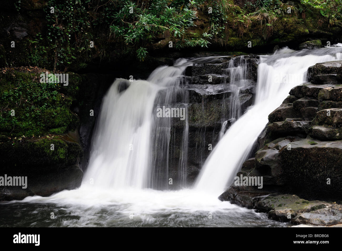 waterfall scene scenic along the Clare river which flows through the ...