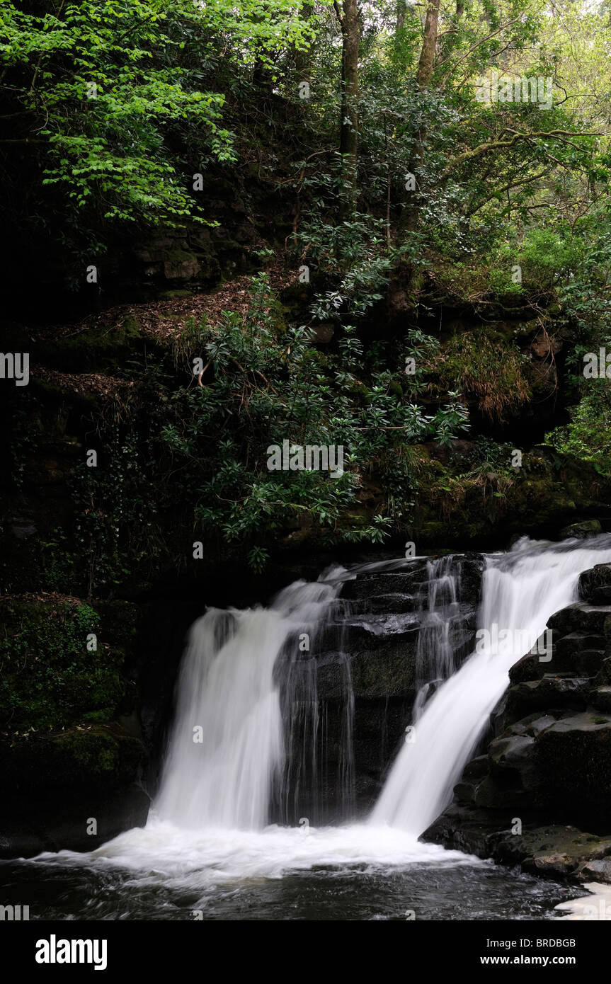 waterfall scene scenic along the Clare river which flows through the ...