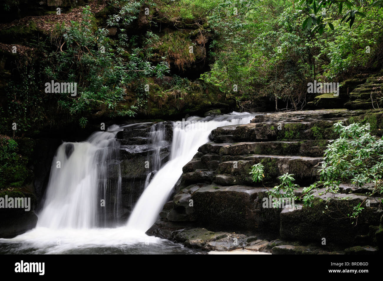 waterfall scene scenic along the Clare river which flows through the ...