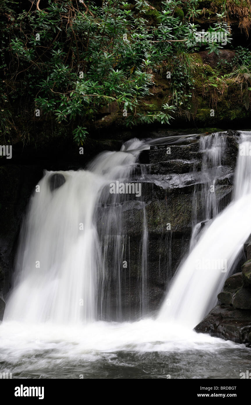 waterfall scene scenic along the Clare river which flows through the ...