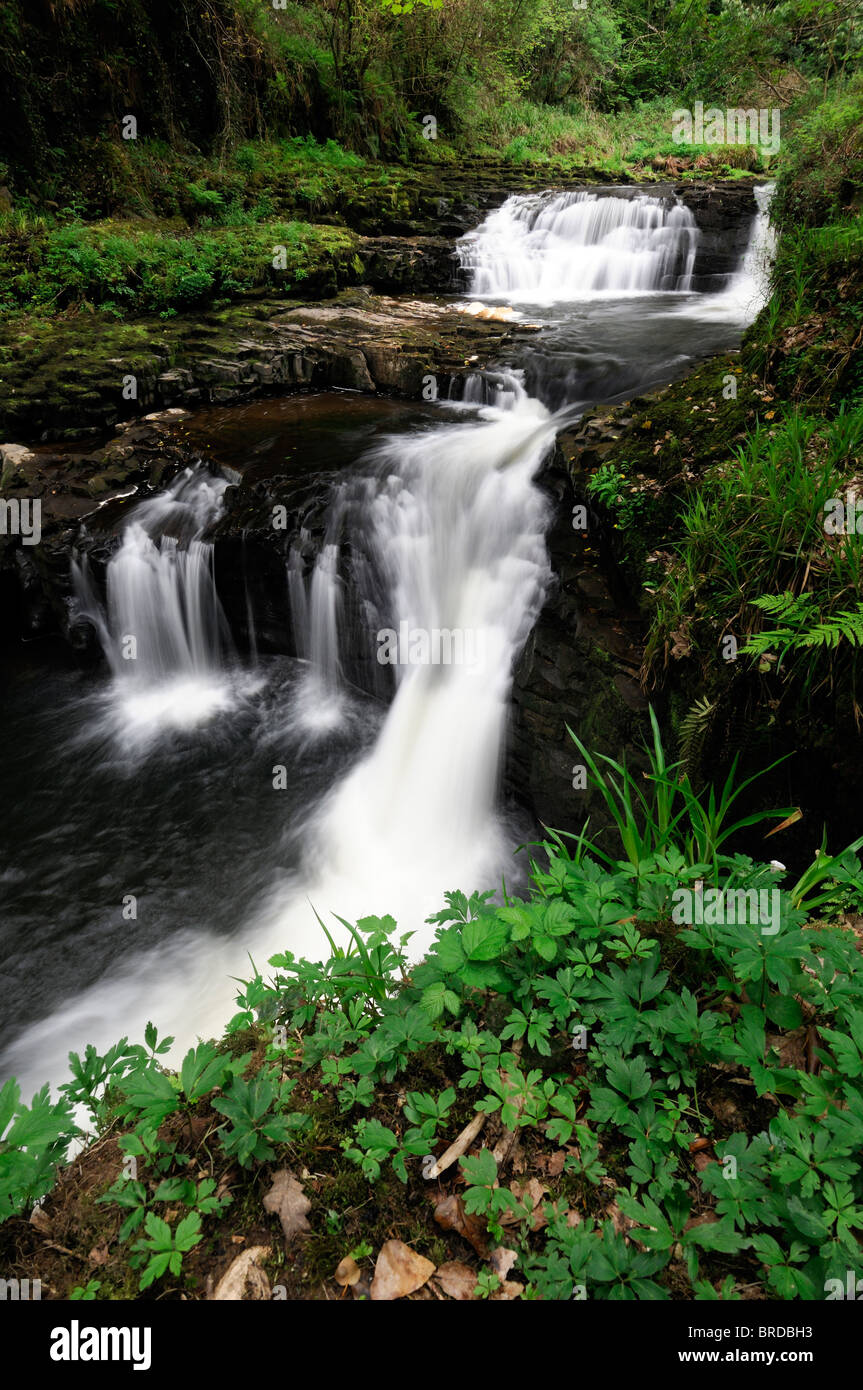 waterfall scene scenic along the Clare river which flows through the ...