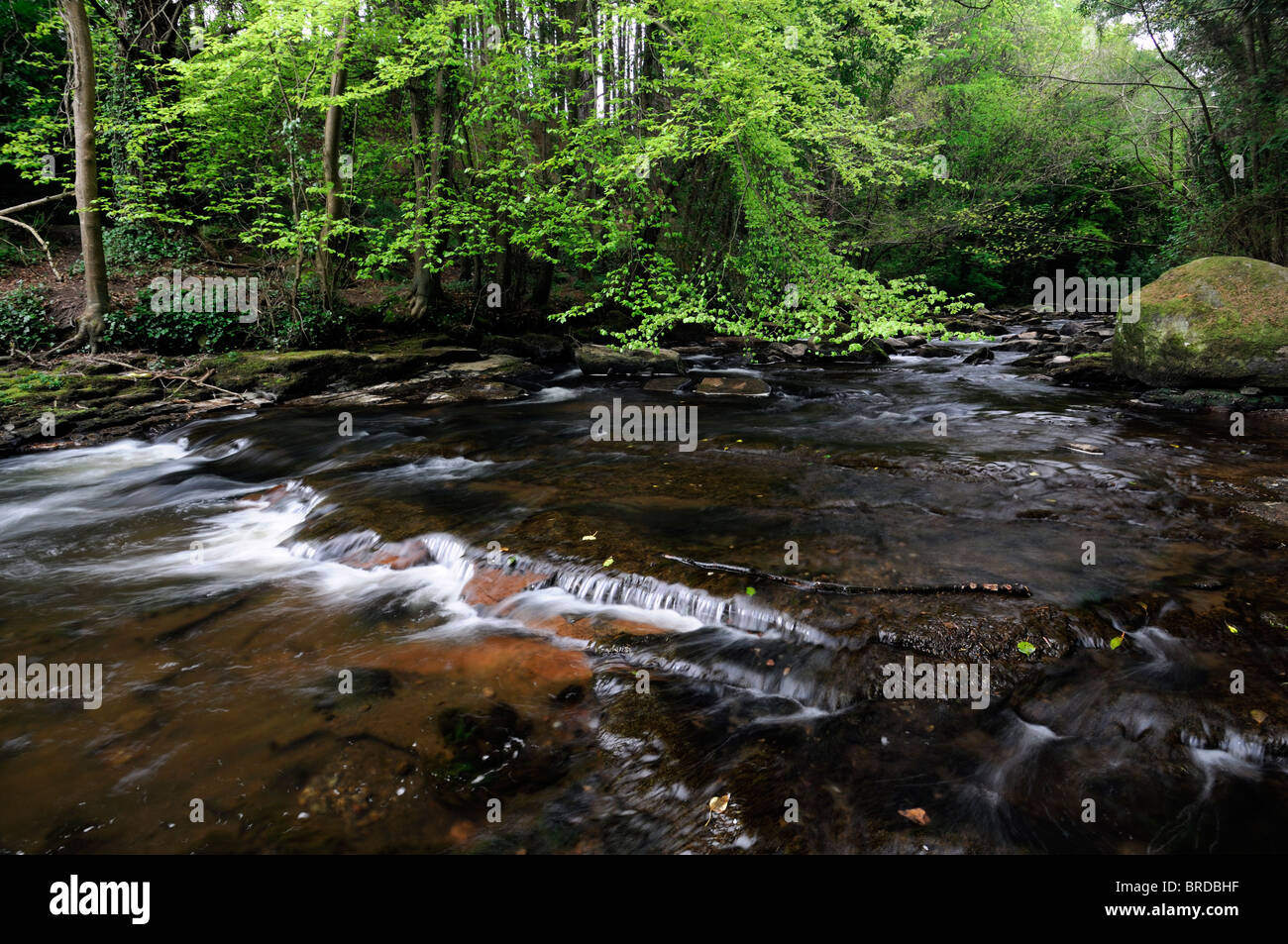 Clare Tipperary Border High Resolution Stock Photography and Images - Alamy