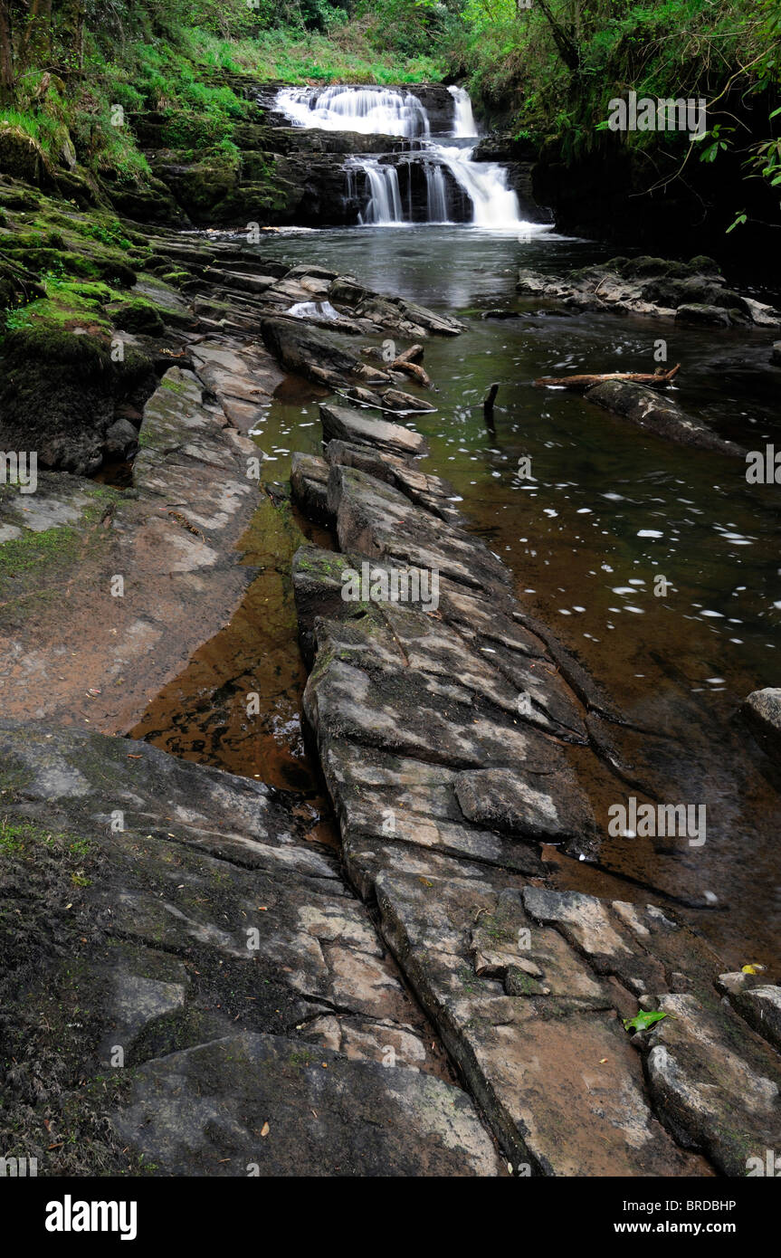 waterfall scene scenic along the Clare river which flows through the ...