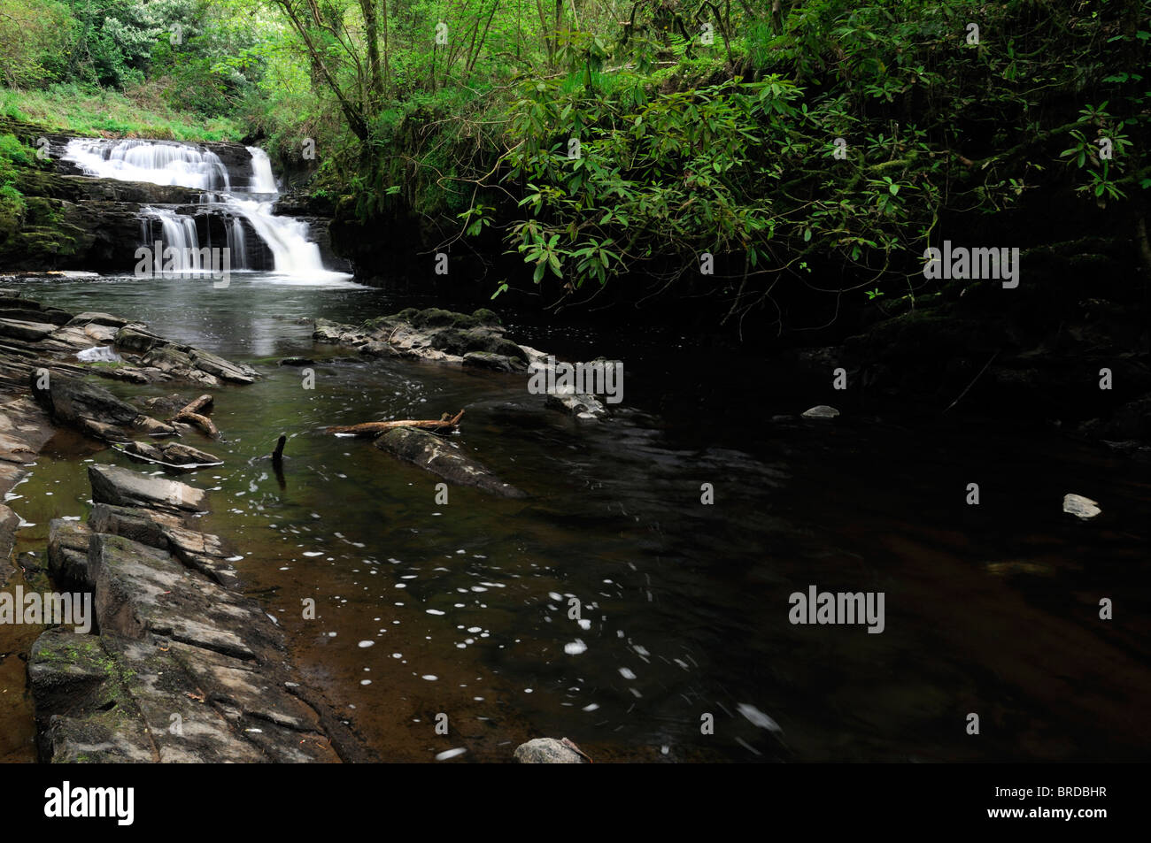 waterfall scene scenic along the Clare river which flows through the ...