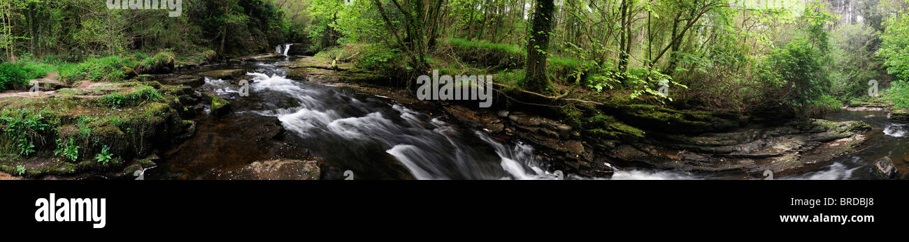 waterfall scene scenic along the Clare river which flows through the ...