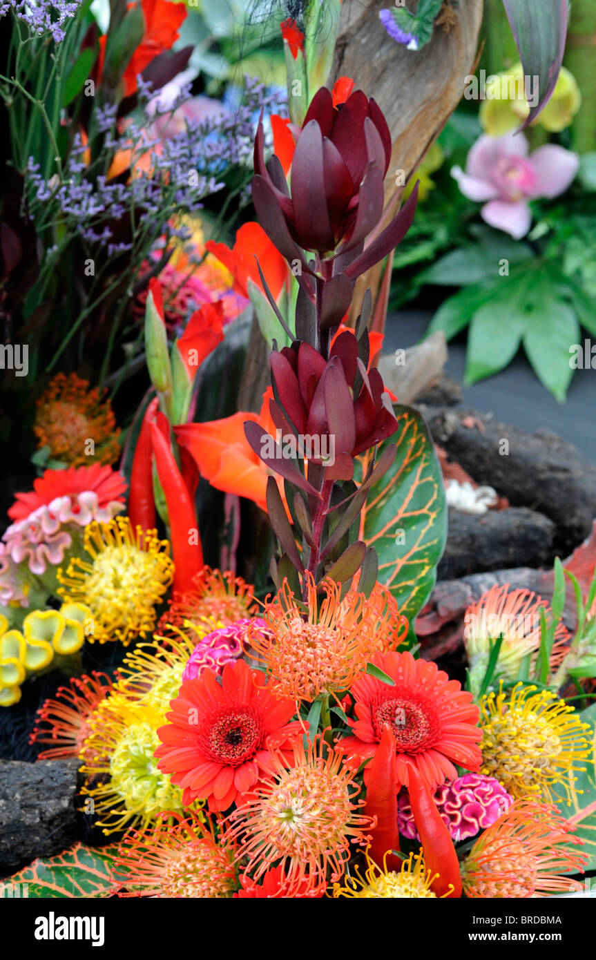 Symbolic display hi-res stock photography and images - Alamy