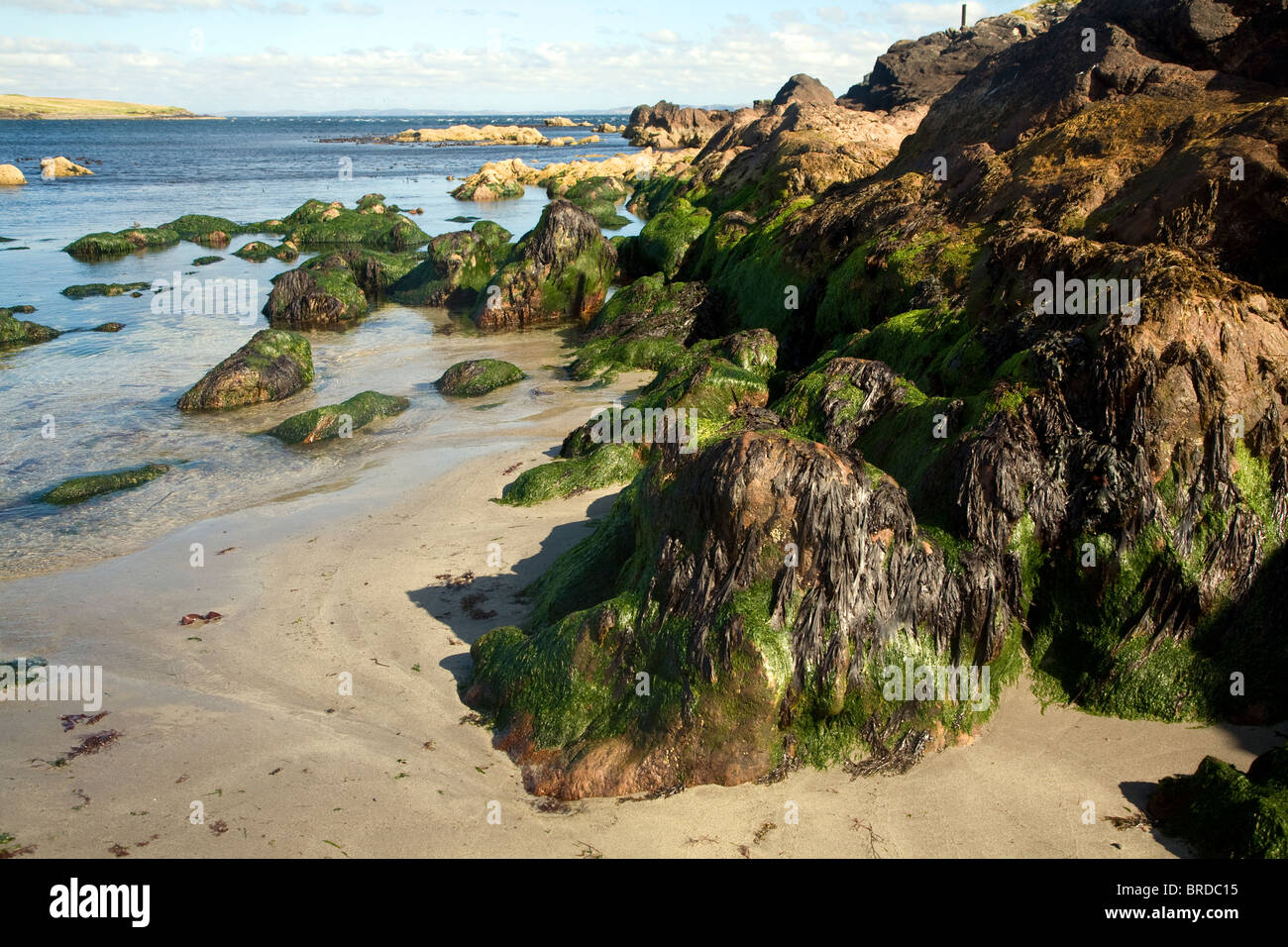 Mainl hi-res stock photography and images - Alamy