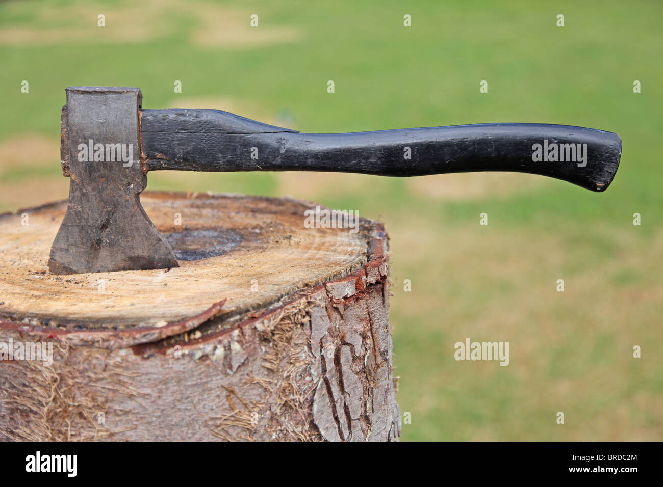Axe sticking in tree trunk hi-res stock photography and images - Alamy