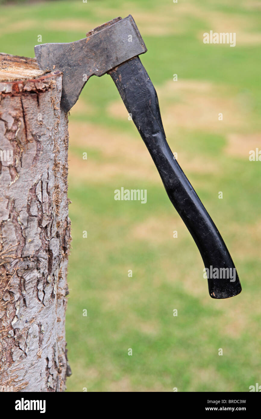 Axe tree hi-res stock photography and images - Alamy