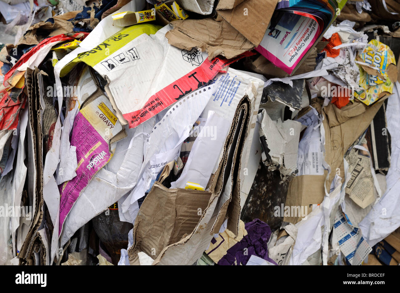 Compressed paper bales at a recycling plant reuse recycle waste ...