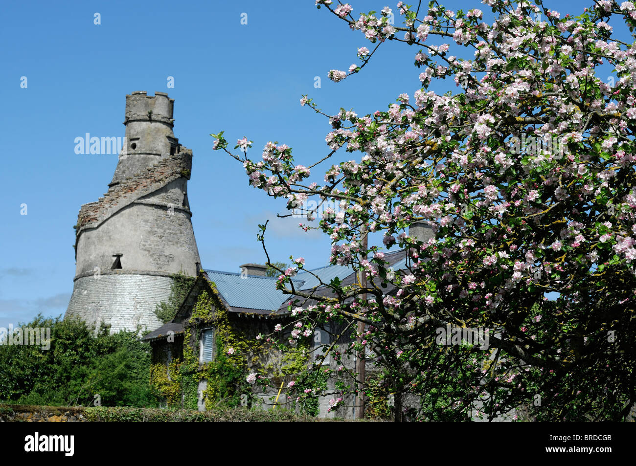The Wonderful Barn Leixlip Kildare Ireland folly tapering cone ...