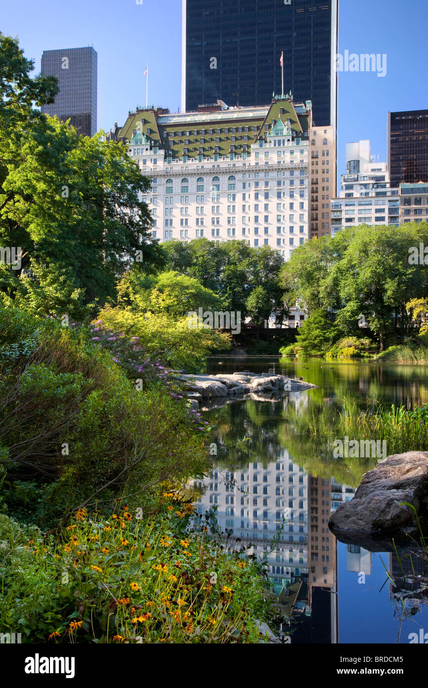 Pond in Central Park with reflections of the Plaza Hotel and buildings ...