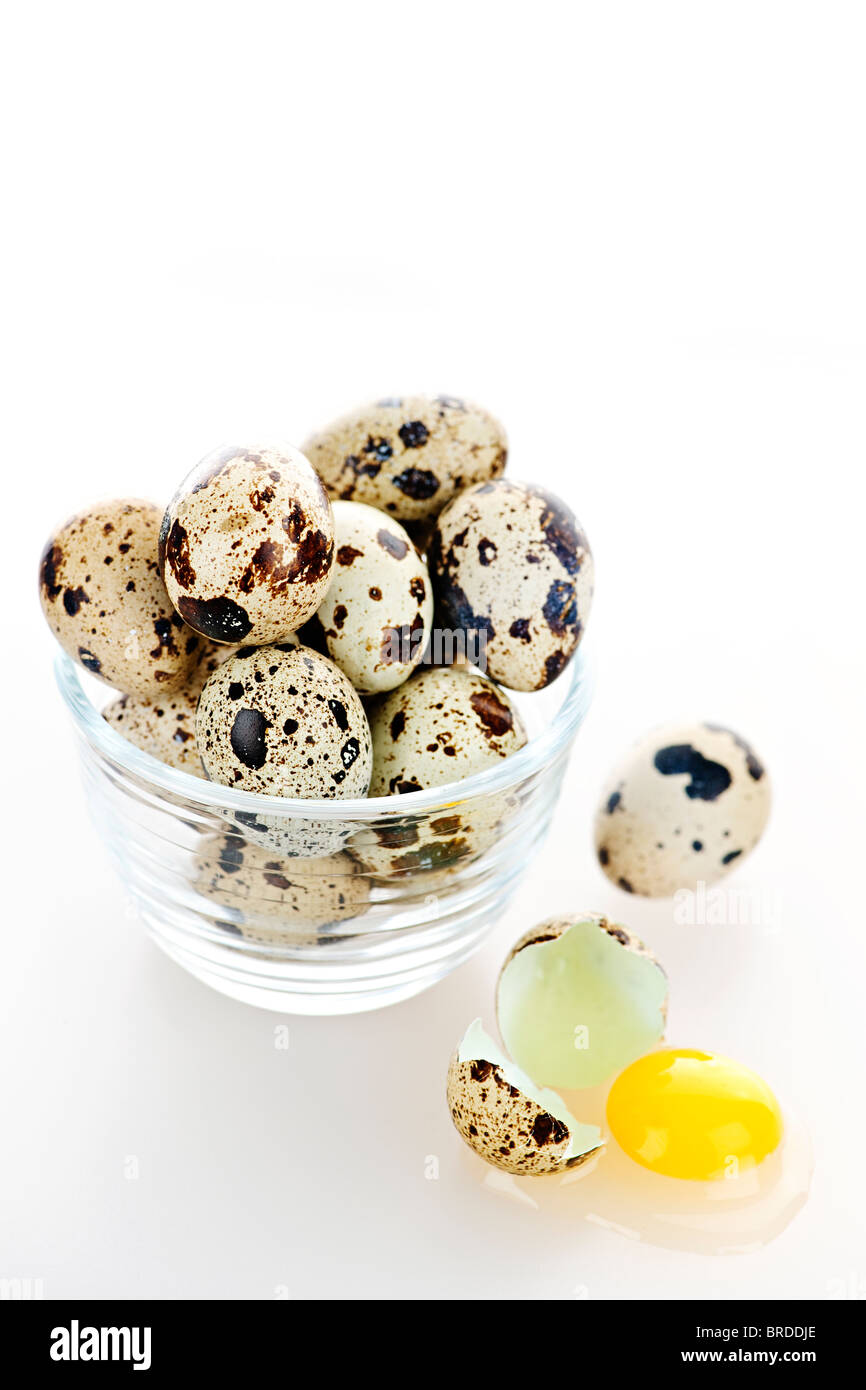 Tiny yellow eggs hi-res stock photography and images - Alamy