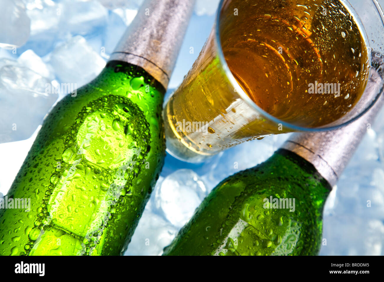 Beer is in ice Stock Photo - Alamy