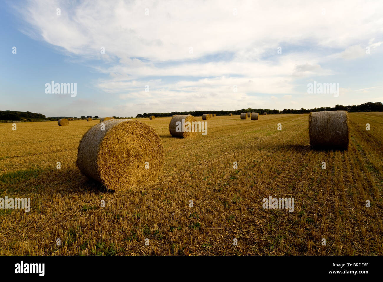 Baled straw landscape Stock Photo - Alamy