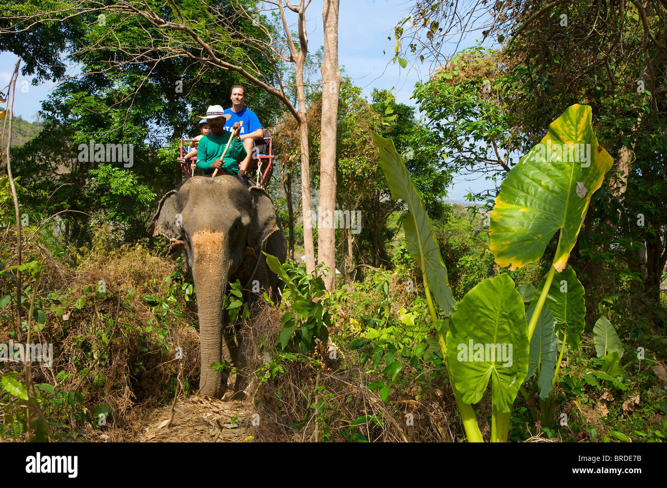 Elephants island hi-res stock photography and images - Alamy