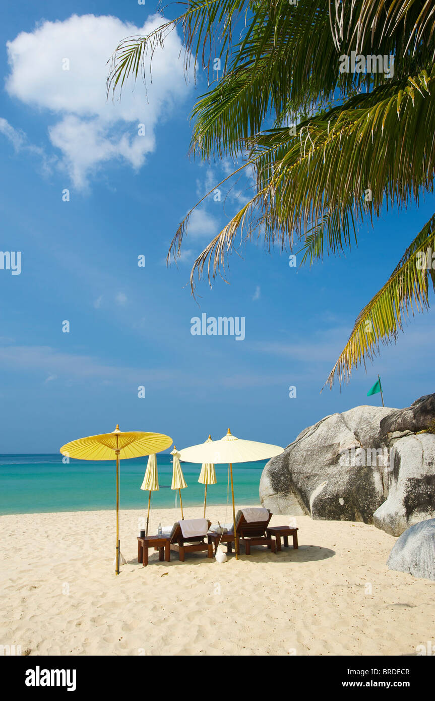 Phuket thailand beach palm hi-res stock photography and images - Alamy