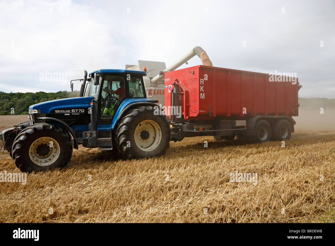 Combine harvester emptying a load of wheat through the auger into a ...