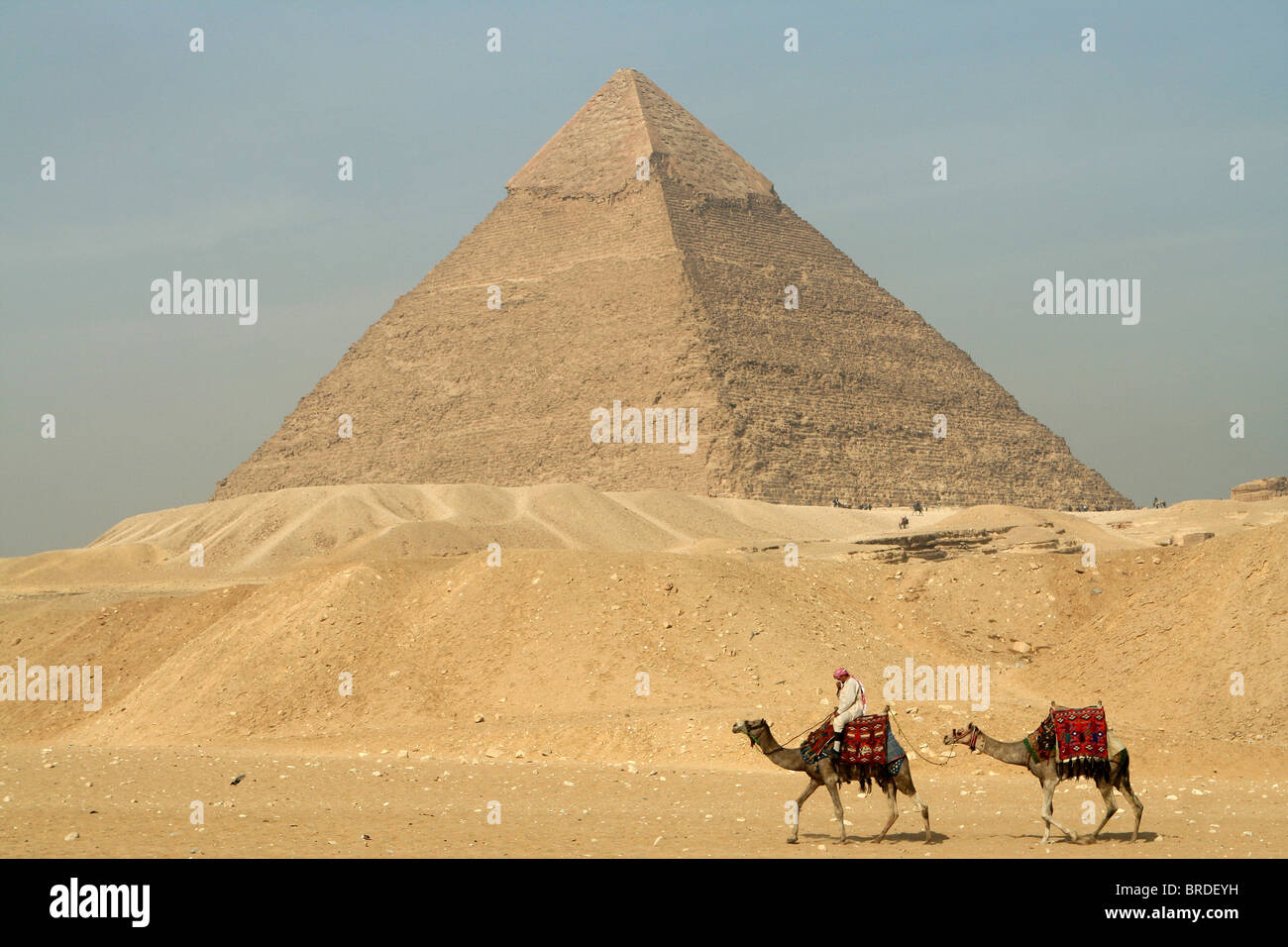 Egyptian icons The camel and the pyramid Stock Photo - Alamy