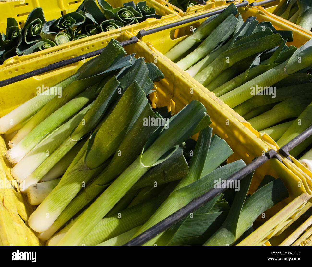Fertile area hi-res stock photography and images - Alamy