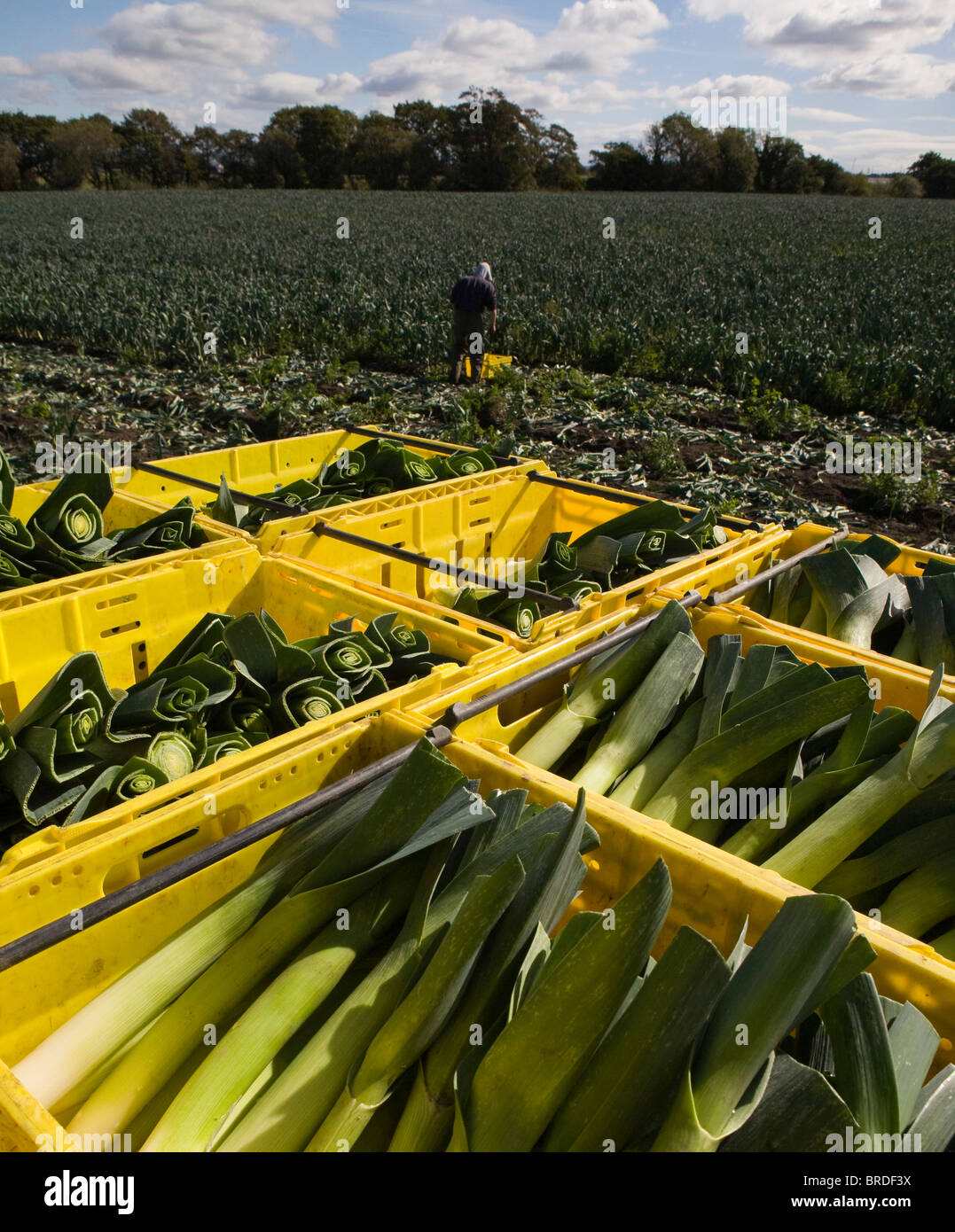 Fertile area hi-res stock photography and images - Alamy