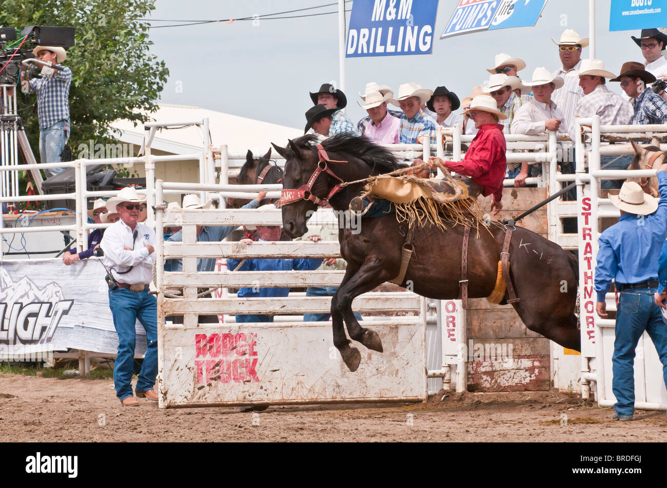 Cowboy, saddle bronc riding, Strathmore Heritage Days, Rodeo ...
