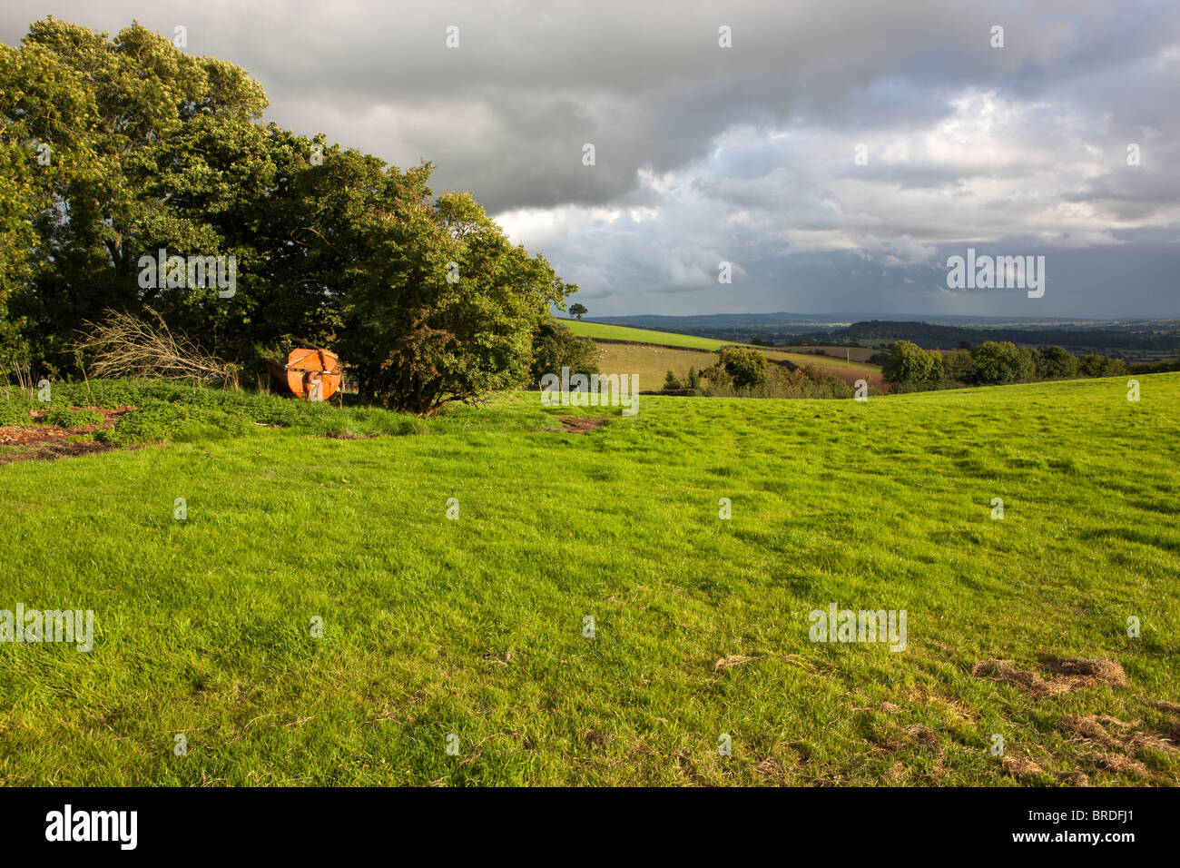 Patchwork fields in countryside near Cullompton, Devon, England, United ...