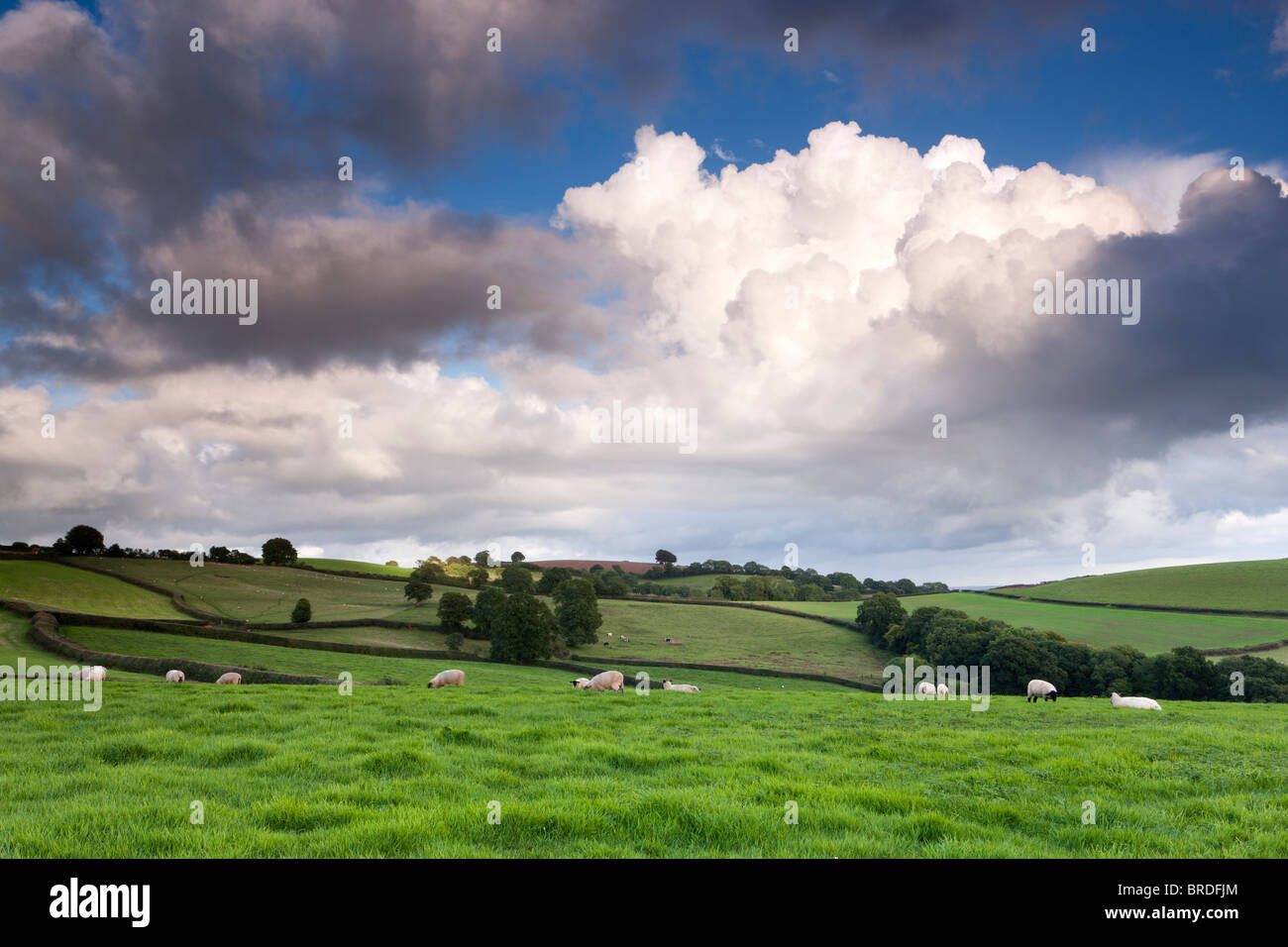Patchwork fields hi-res stock photography and images - Alamy