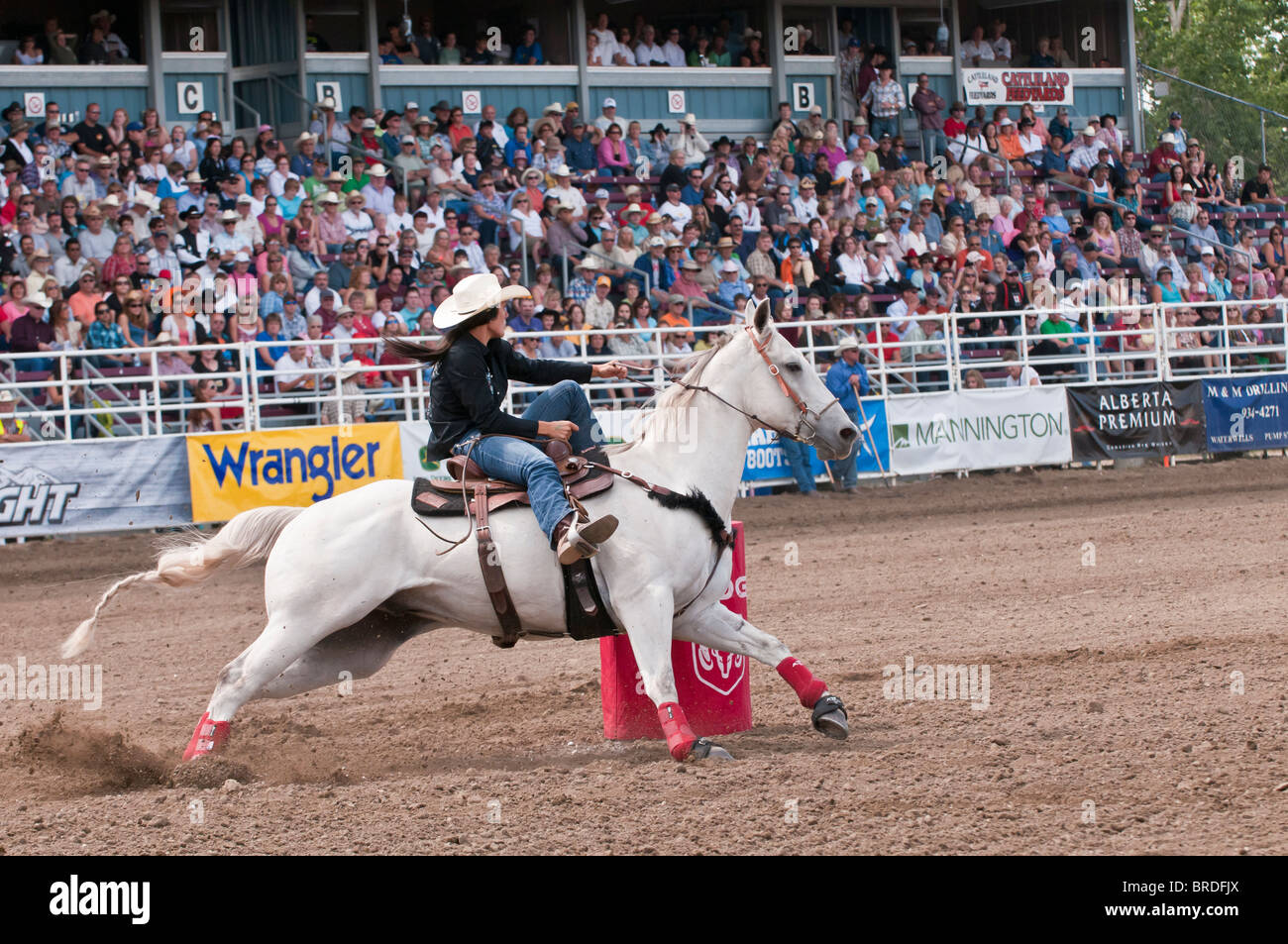 Cowgirl riding fast during barrel racing, Strathmore Heritage Days ...
