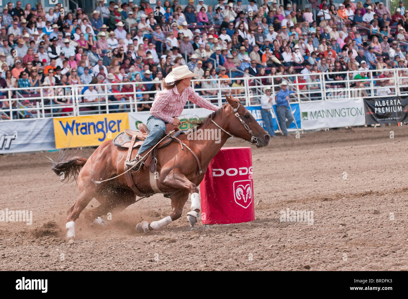 Barrel racing hi-res stock photography and images - Alamy