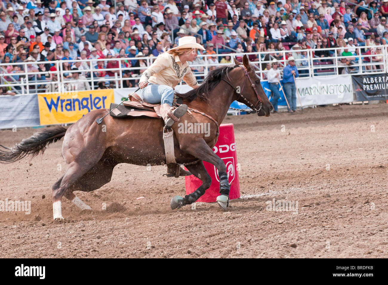Cowgirls barrel racing hi-res stock photography and images - Alamy