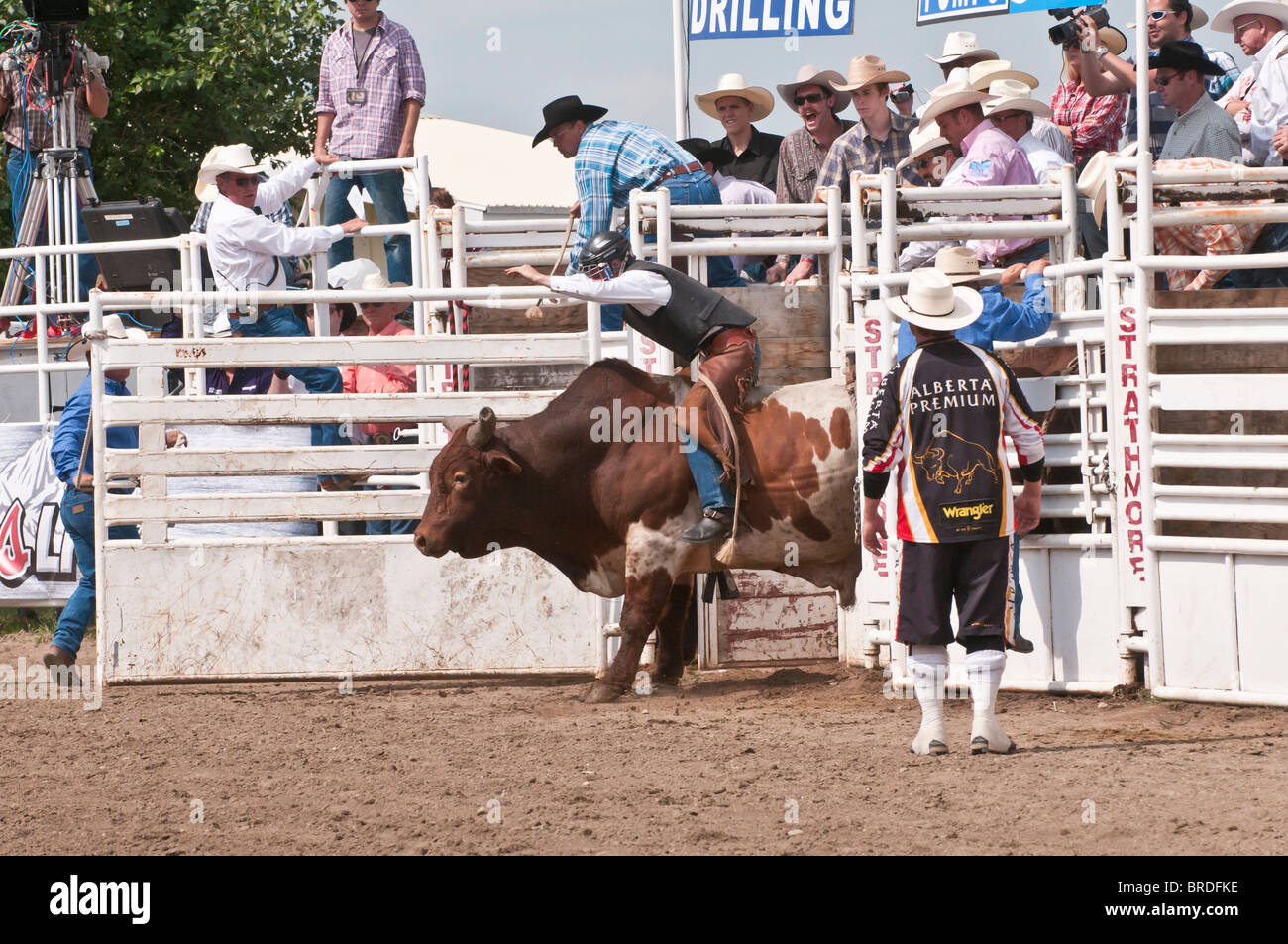 Cowboy bull riding, Strathmore Heritage Days, Rodeo, Strathmore ...